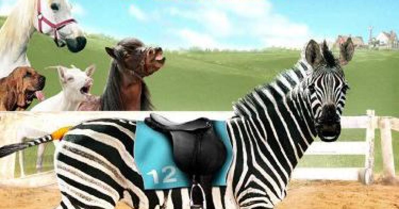 Zig-Zag (2005), un film de Frederik Du Chau | Premiere.fr | news, sortie, critique, VO, VF, VOST ...