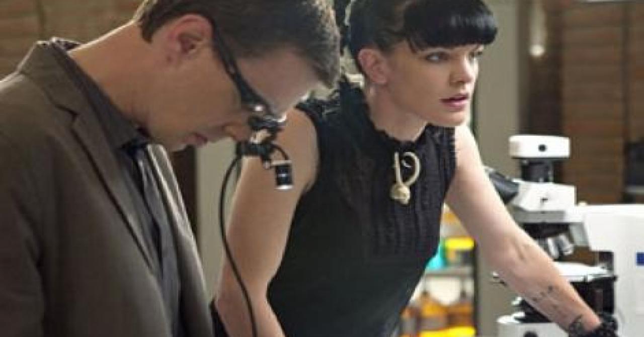 Audiences TV : M6 solide leader, NCIS pulvérise la concurrence ...