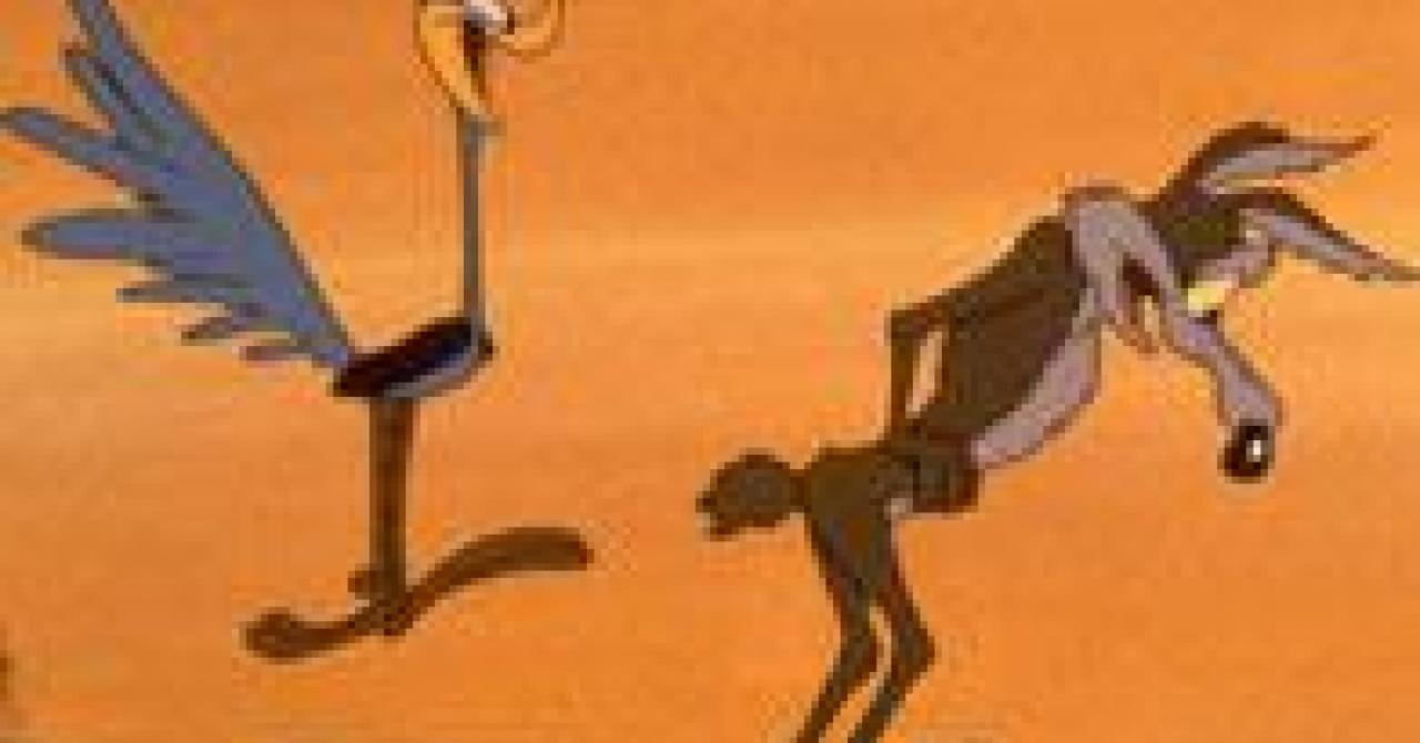 Palmade cède sa place à Toowanix sur France 3 | Premiere.fr