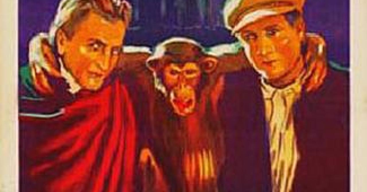 Le manoir de la peur (1927), un film de Alfred Machin, Henry ...